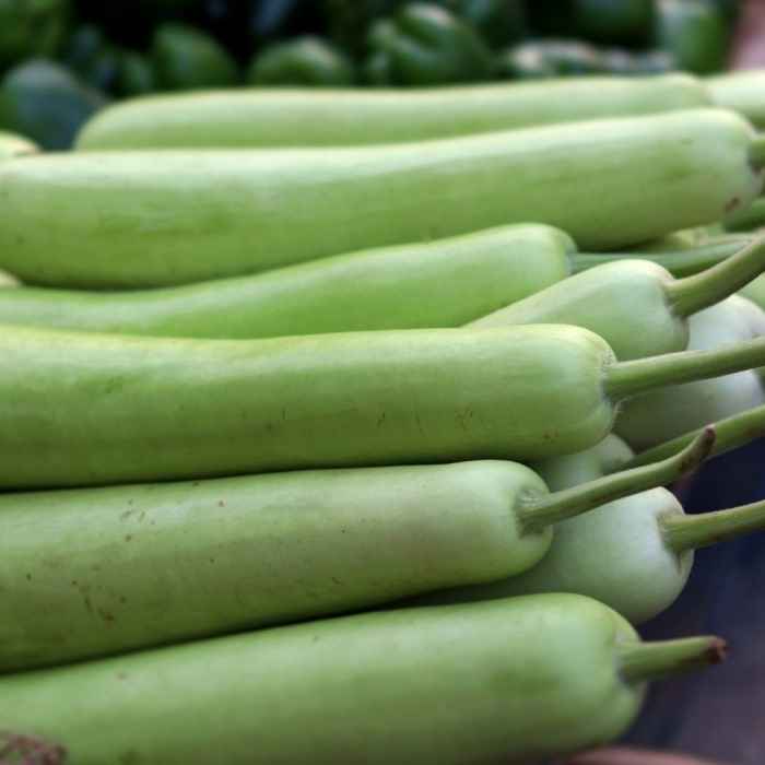 Summer Vegetables | Crop information | Pakagrimarket | Pakistan