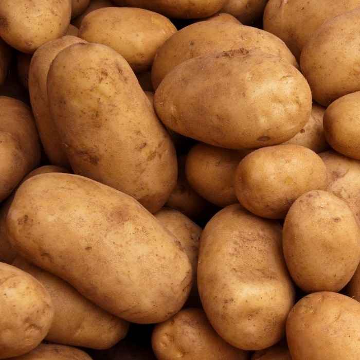 Potato-aloo | Crop cultivation guide from land preparation to ...