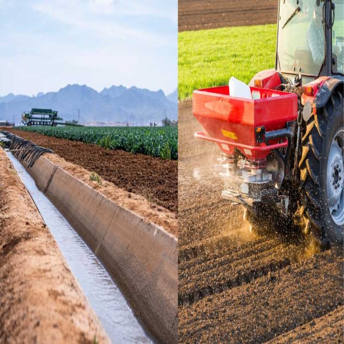 Lucerne irrigation & fertilization guide | Pakagrimarket | Pakistan