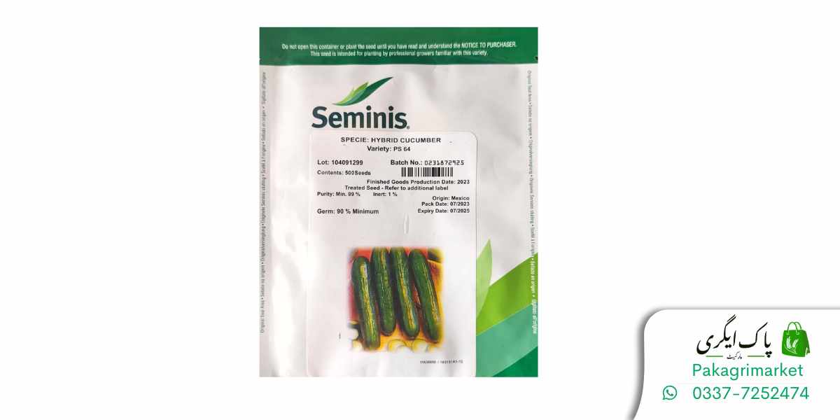 Hybrid Cucumber Seed | PS 64 | Seminis