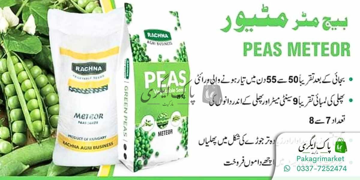 Peas Meteor Seeds | Rachna Agro Chemicals | Kot Addu