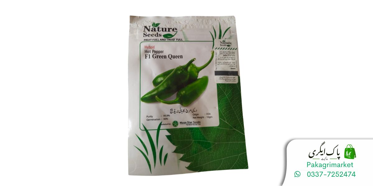 Hybrid Hot Pepper | F1 Green Queen | Nature Seeds | Seed