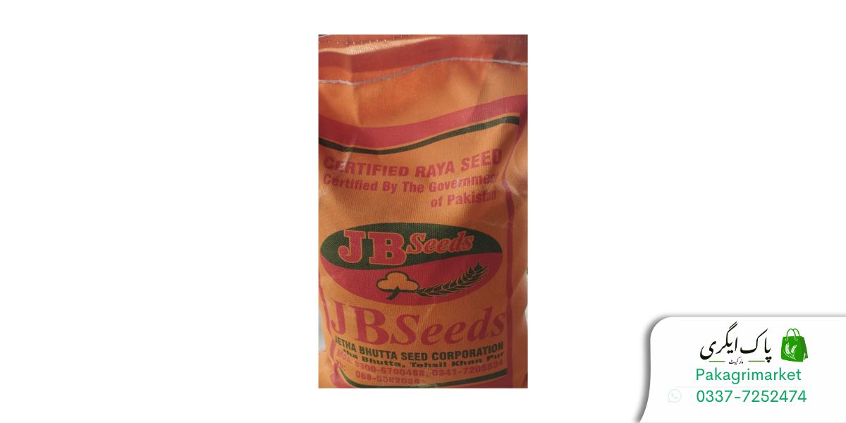 Raya Seeds | JB Seeds | Seed