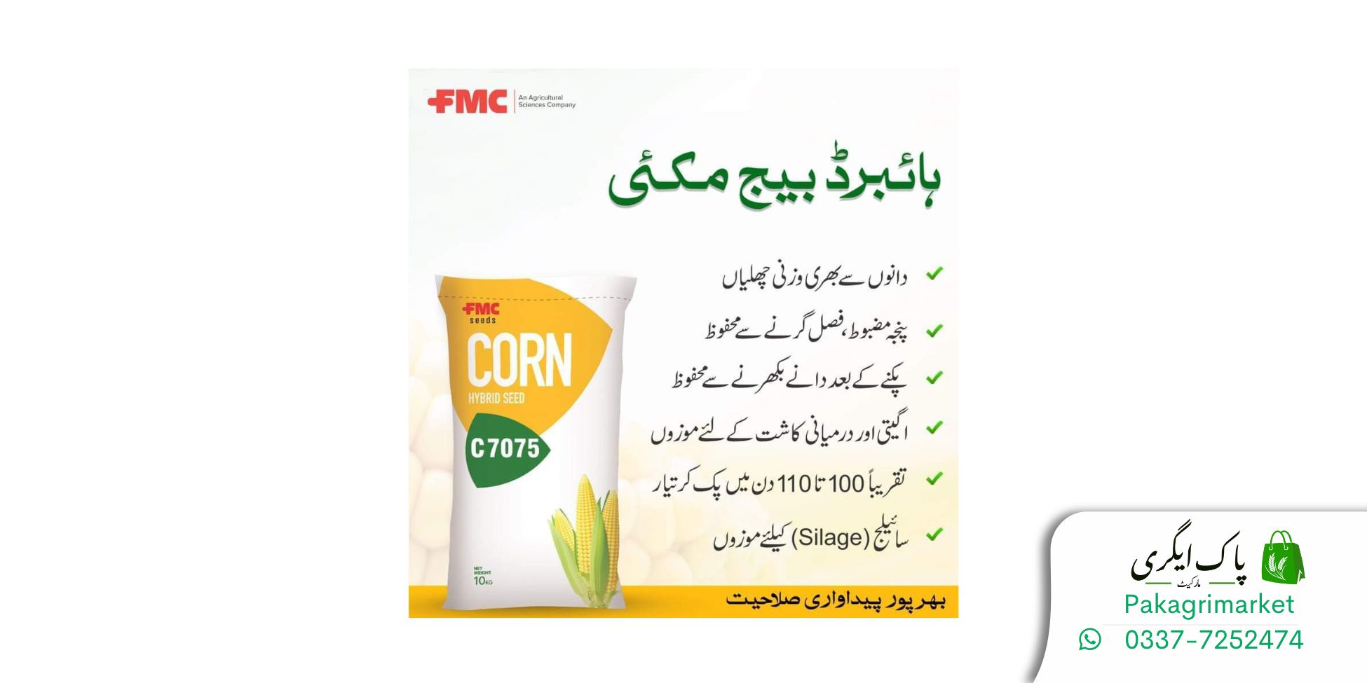 Hybrid Corn Seed | Bayer | Seed