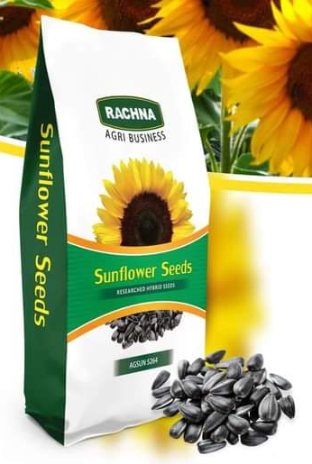 AGSUN 5264 رچنا سورج مکھی